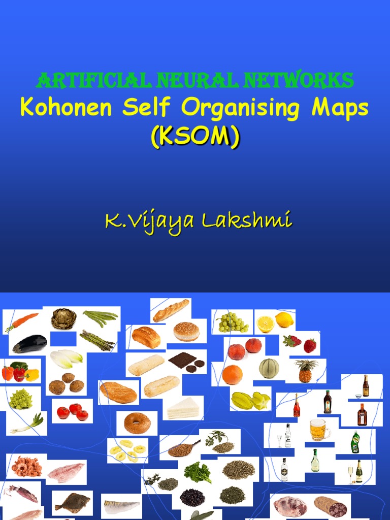 Kohonen Self Organizing Maps | PDF | Computational Neuroscience ...