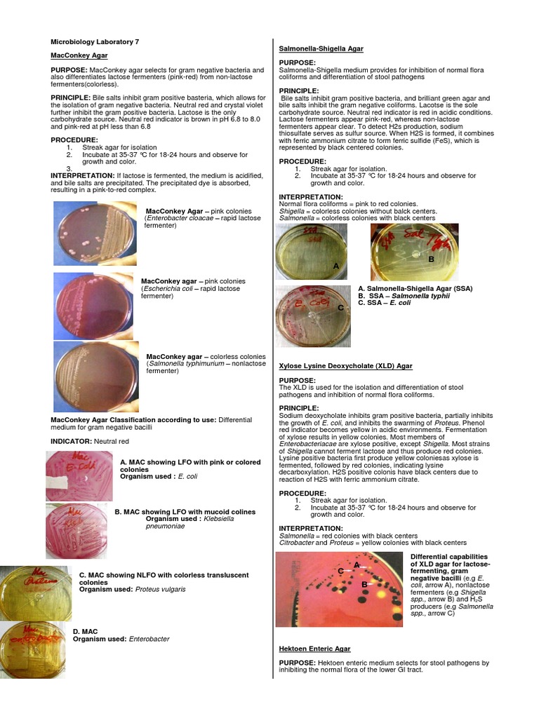 Microbiology Reviewer | PDF | Chemical Compounds | Chemistry