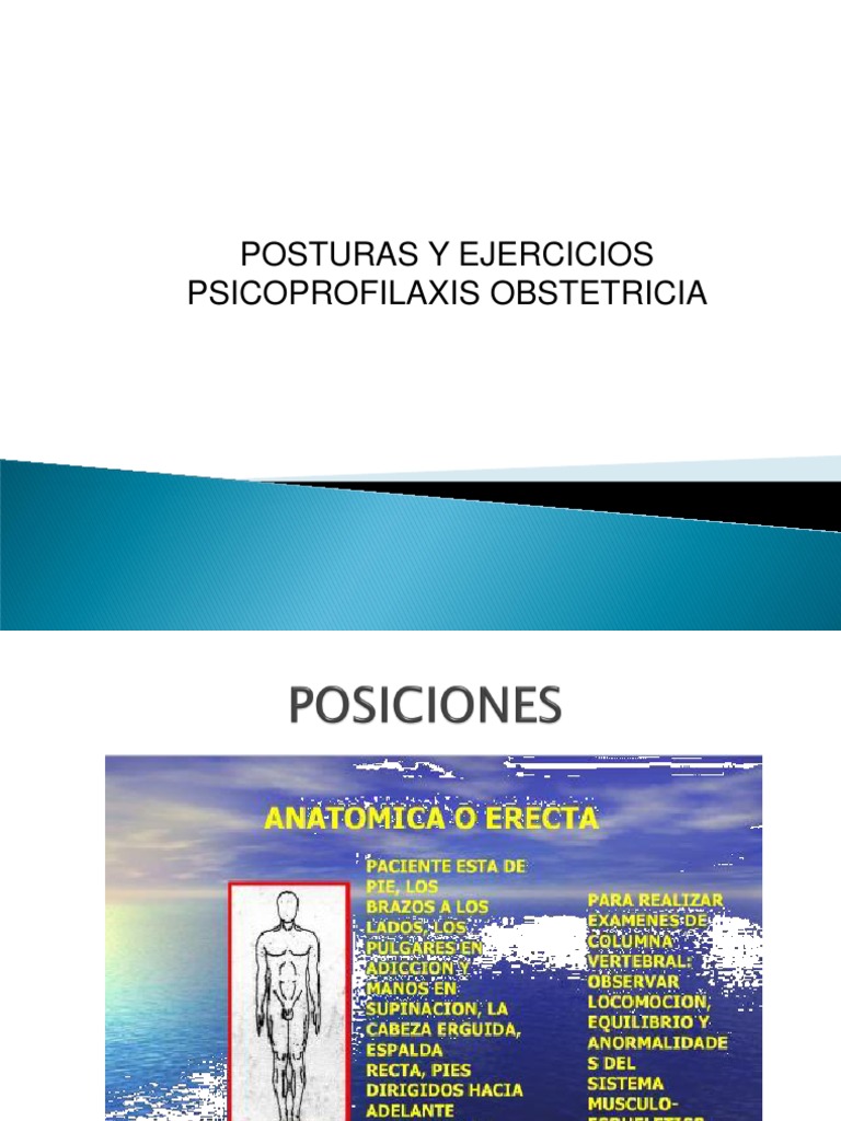 Posicion Es | PDF | Pelvis | Músculo