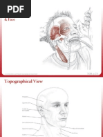 Ackerman Proffit 1969 | PDF | Orthodontics | Mouth