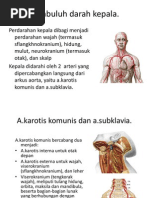Regio Kepala Dan Leher Anatomi Topografi | PDF