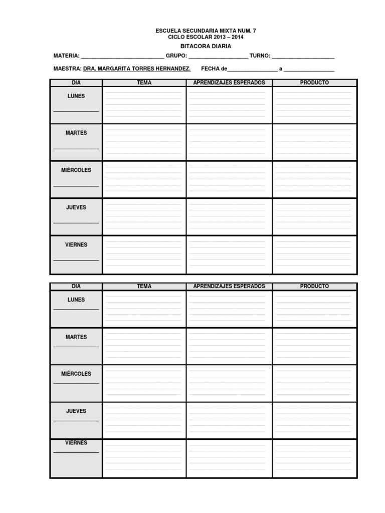 Bitacora Diaria | PDF | Aprendizaje | Cognición