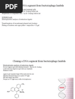 E.coli PGLO Transformation Lab Report | PDF | Transformation (Genetics ...