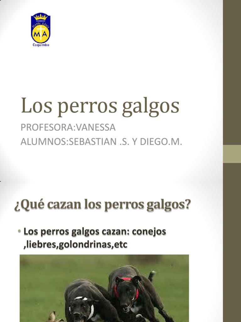 Los Perros Galgos Dgo | PDF