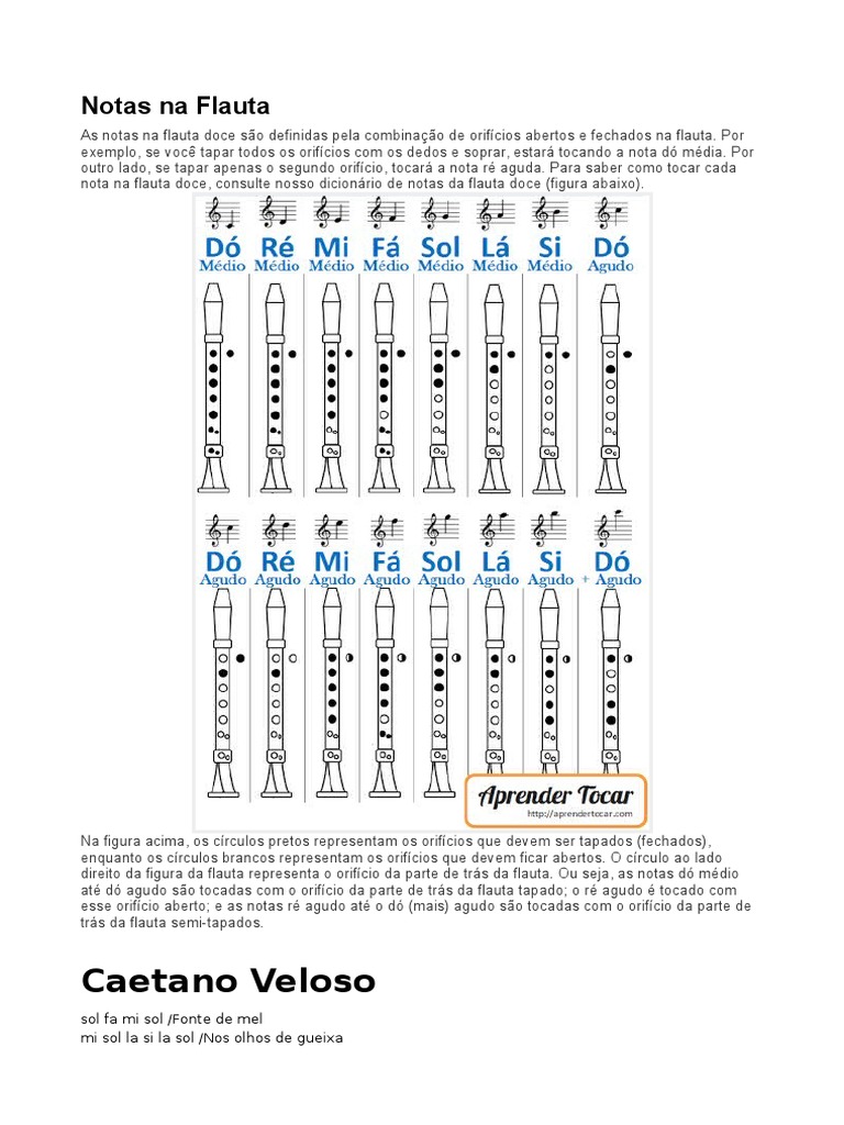 Flauta Doce Notas Naturais | PDF | Flauta | Notação