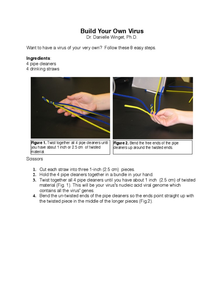Build Your Own Virus | PDF | Virus | Dna