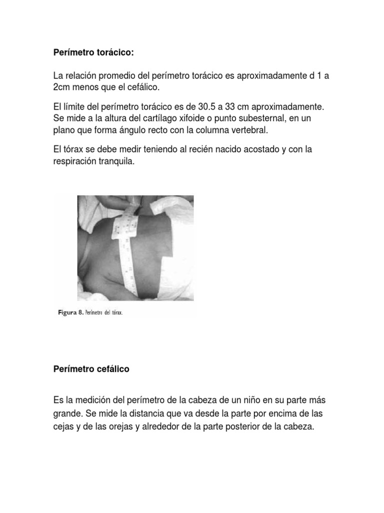 Perímetro Torácico | PDF