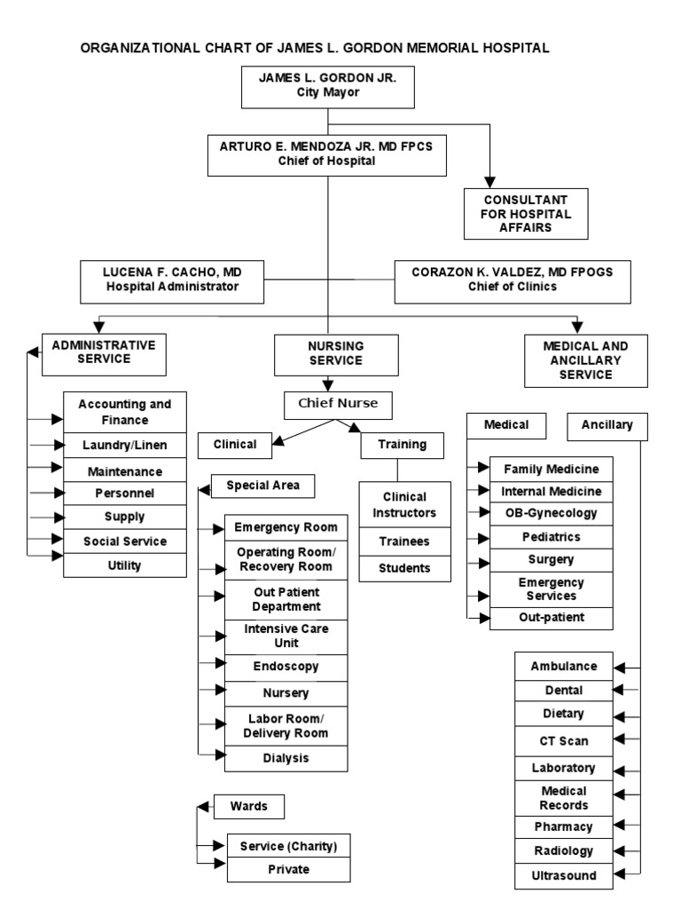 organizational chart4 | Hospital | Emergency Department