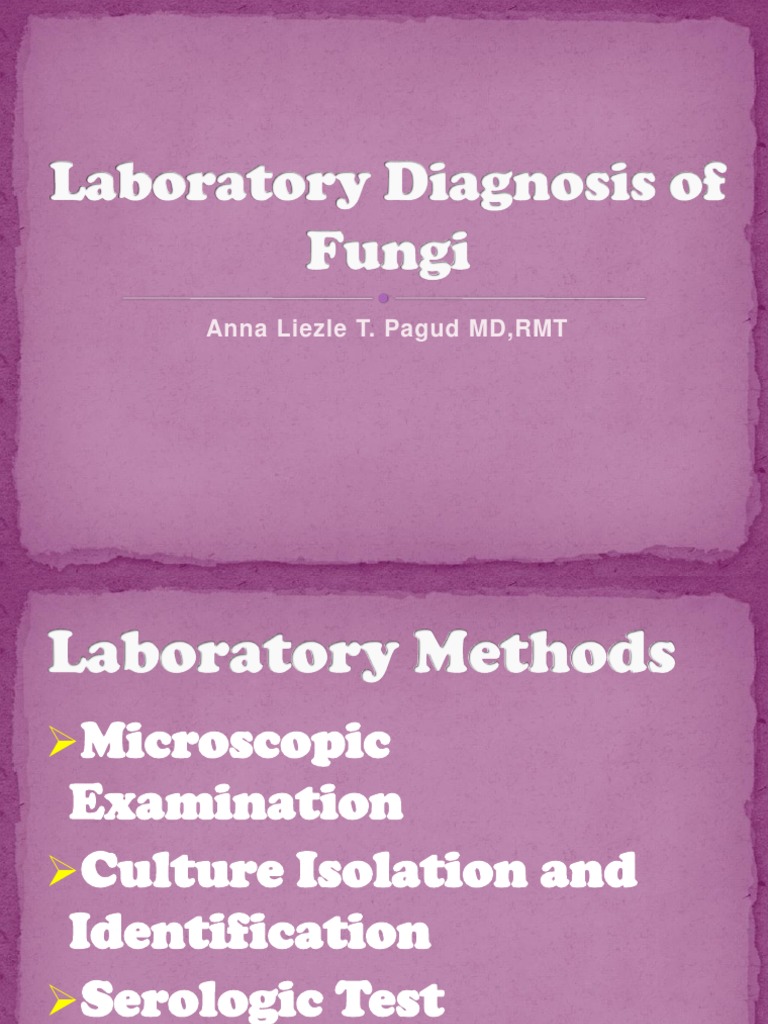 Detect Cryptococcus neoformans Using India Ink Stain | PDF