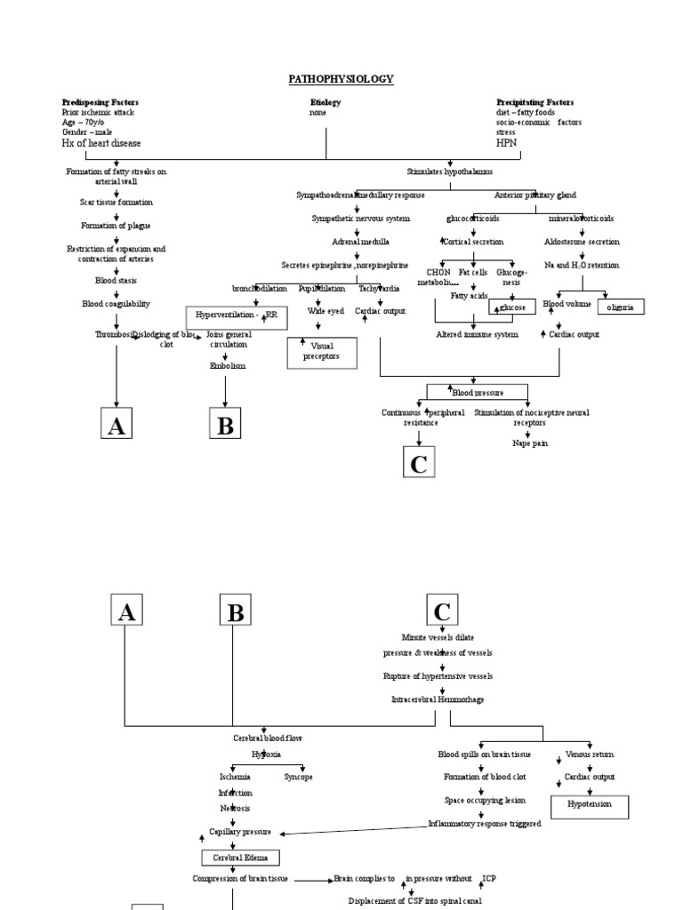 CVA Pathophysiology | PDF