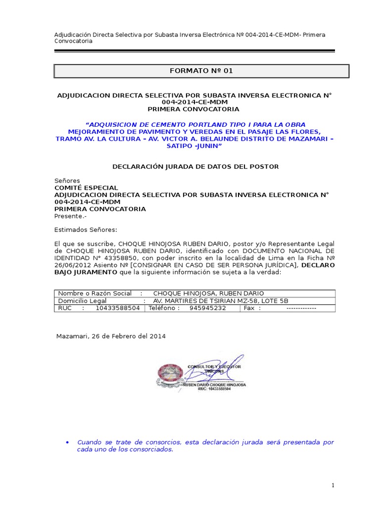 FORMATO | PDF | Subasta | Modelo de negocio