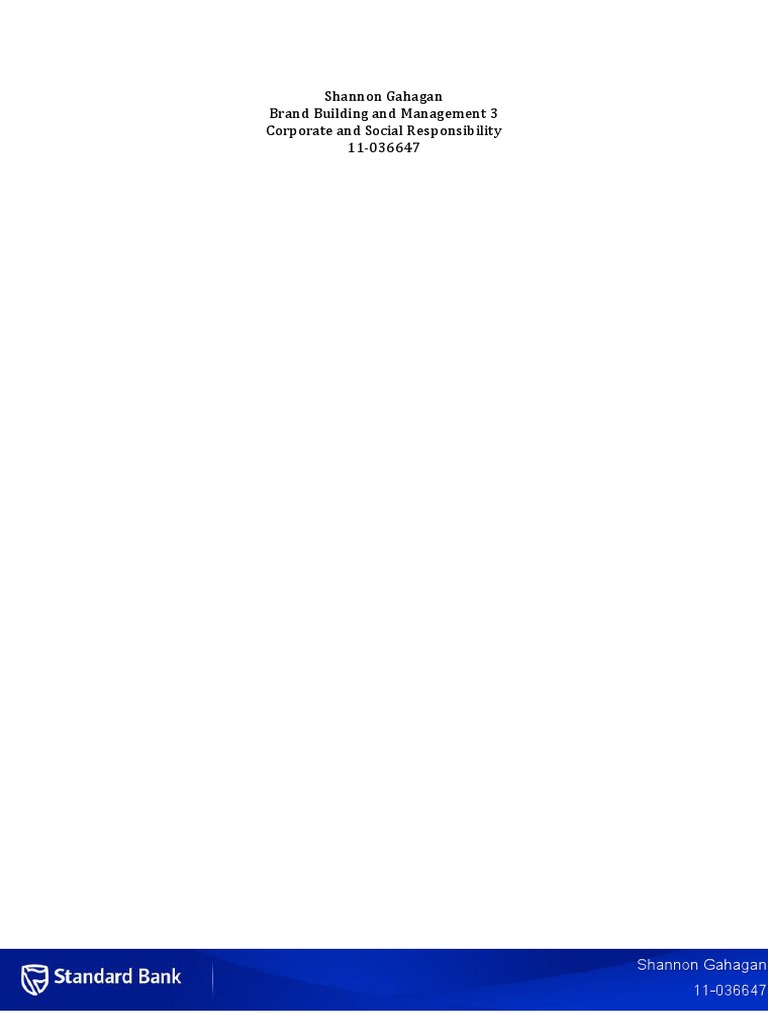 CSR Standard Bank | PDF | Corporate Social Responsibility | Employment