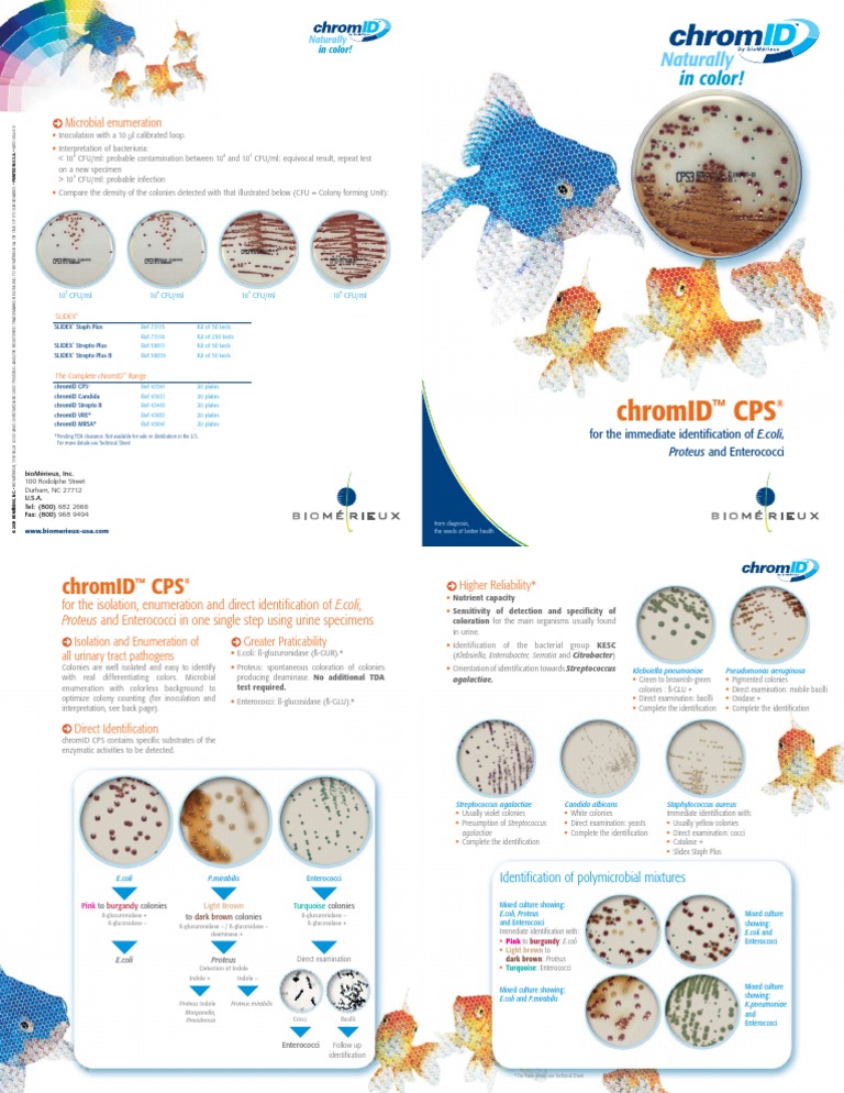 ChromID CPS Brochure Final-1 | PDF | Colony Forming Unit | Staphylococcus