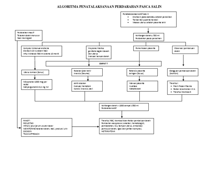Algoritma Penatalaksanaan Perdarahan Pasca Salin | PDF