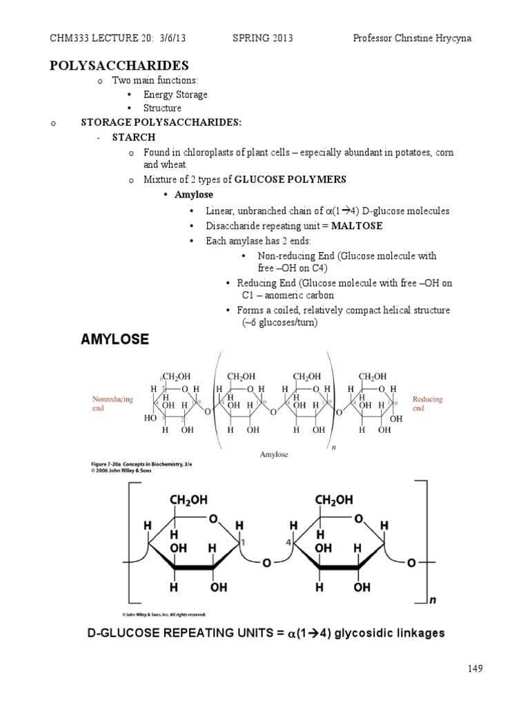 Polysaccharides: Structure, Function and Degradation of Starch ...