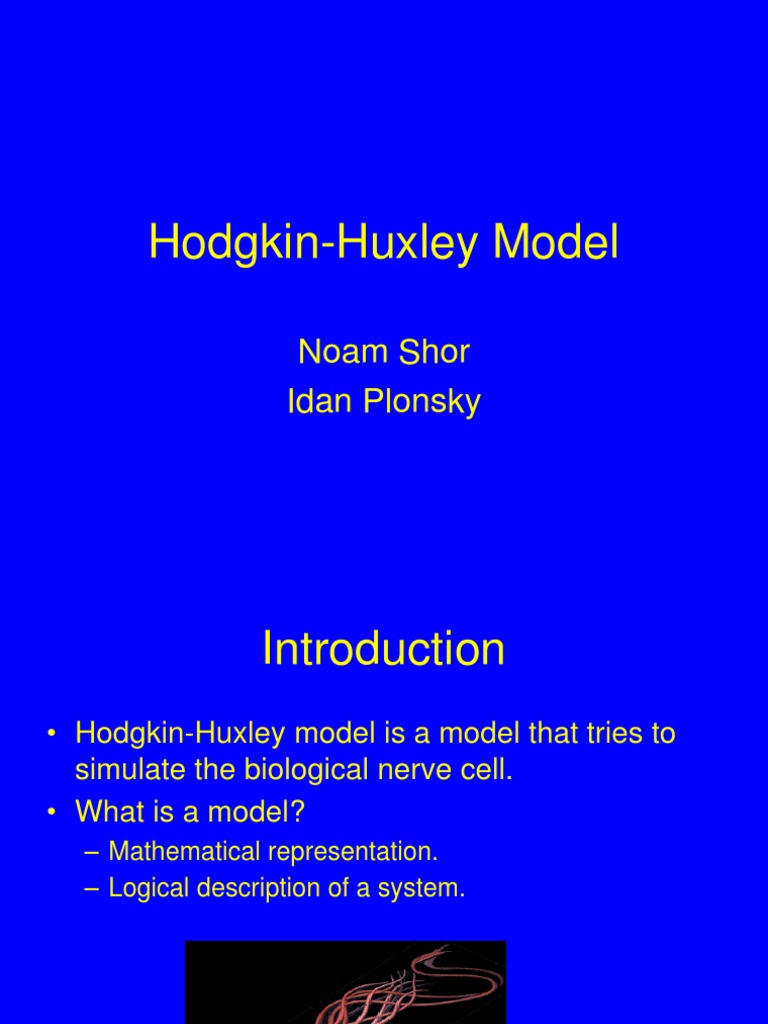 Hodgkin Huxley Model | PDF