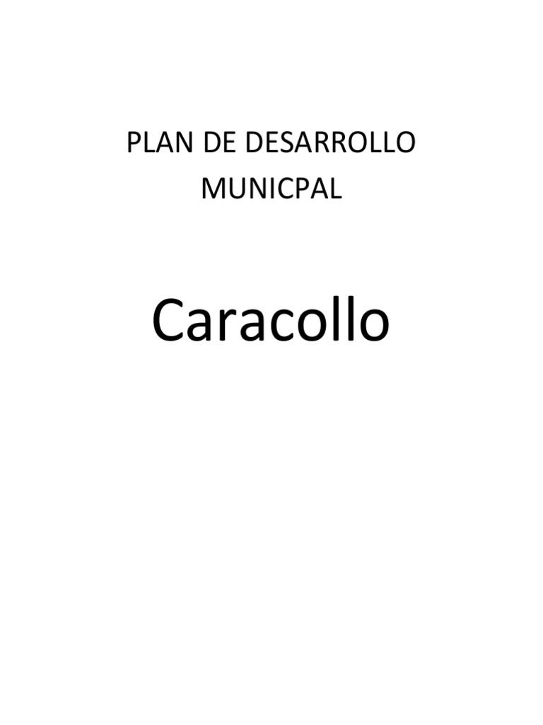 PDM Viejo Caracollo | PDF