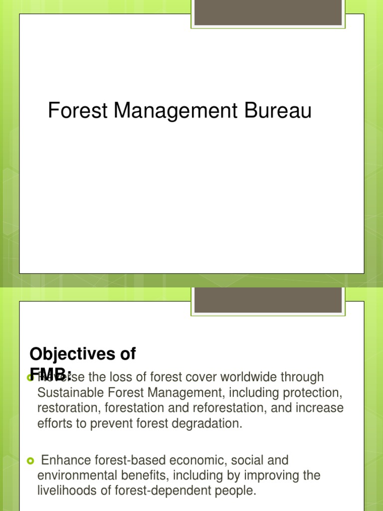 Overview of Forest Management Bureau | PDF | Forestry | Sustainability