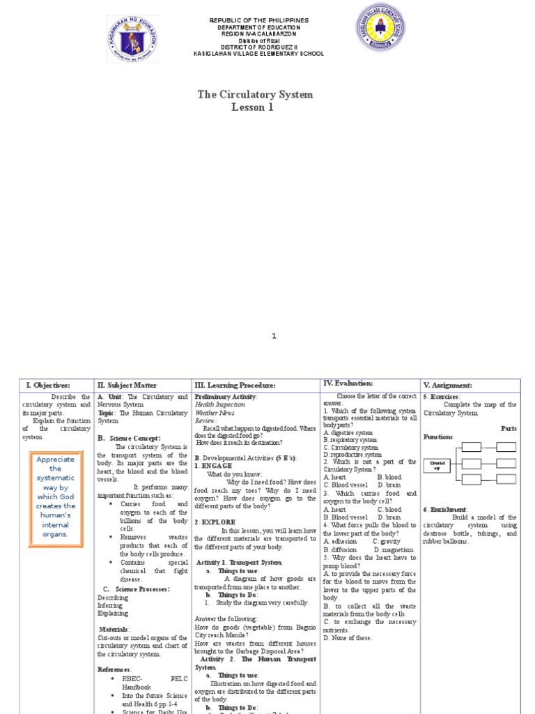 Science 6 Lesson Plan (First Grading) | PDF | Autonomic Nervous System ...