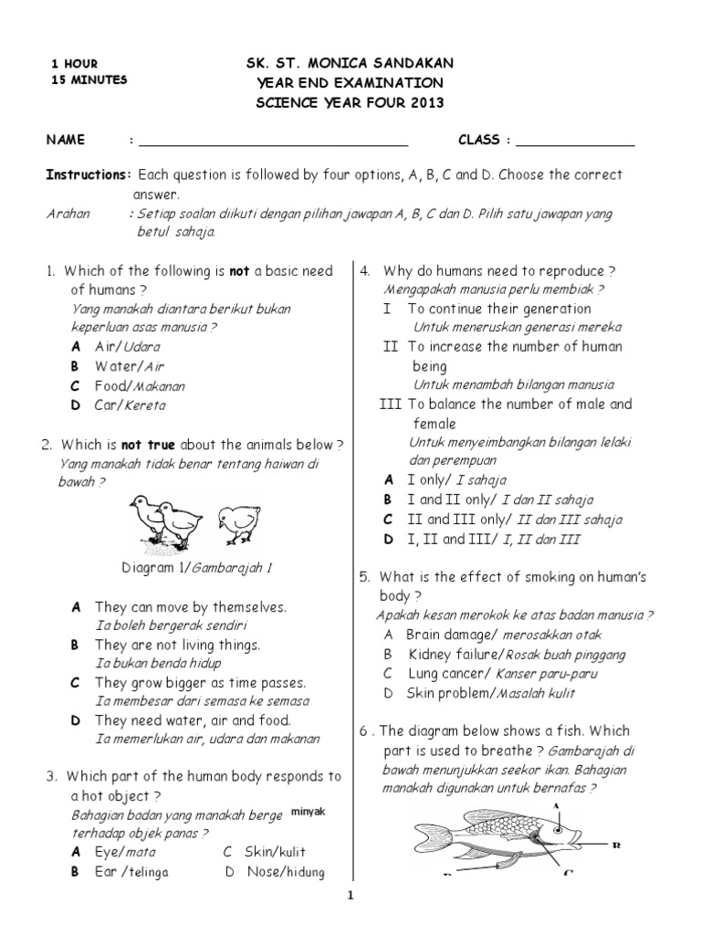 Year 4 Science Exam Questions 2013 | PDF