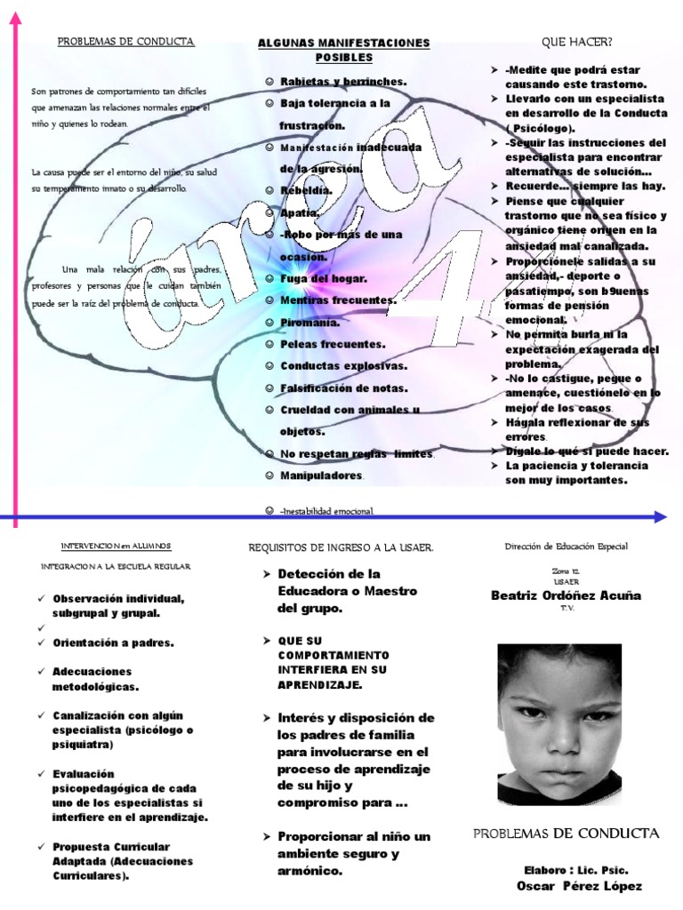 Triptico Problemas de Conducta | Descargar gratis PDF | Comportamiento | Trastorno mental