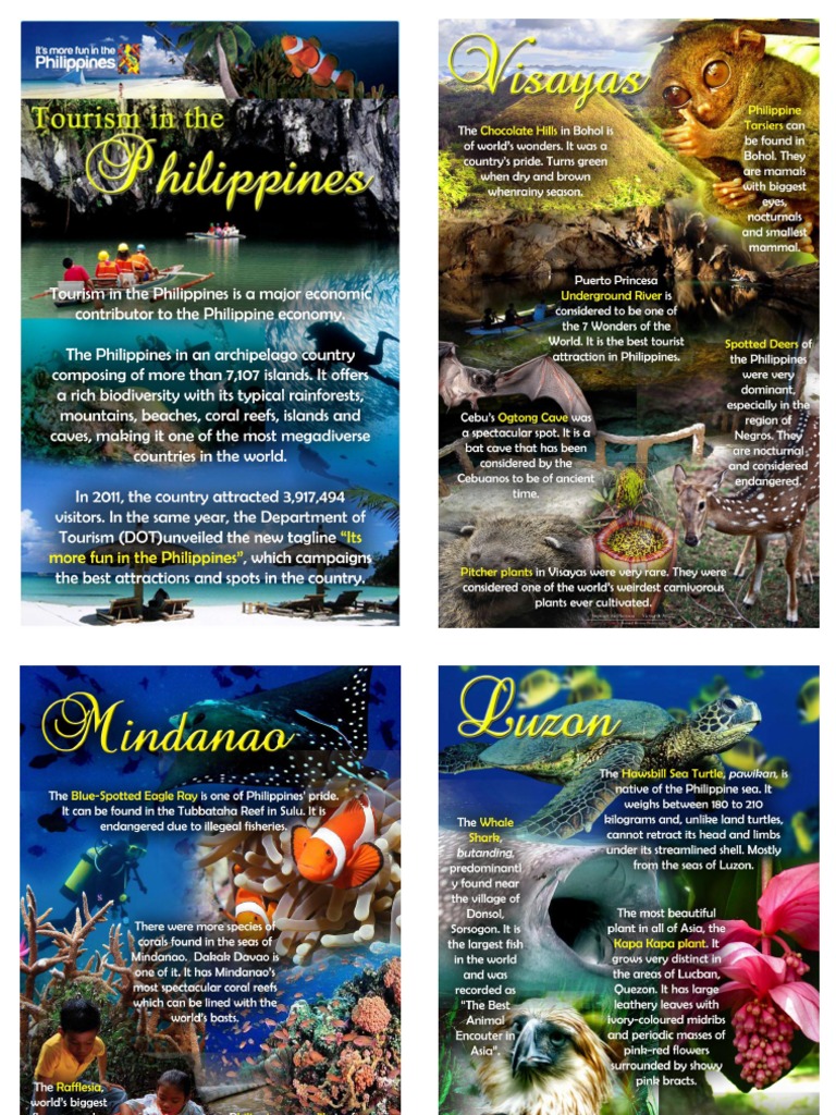 Project Brochure - Tourism in Philippines (Its More Fun in The ...