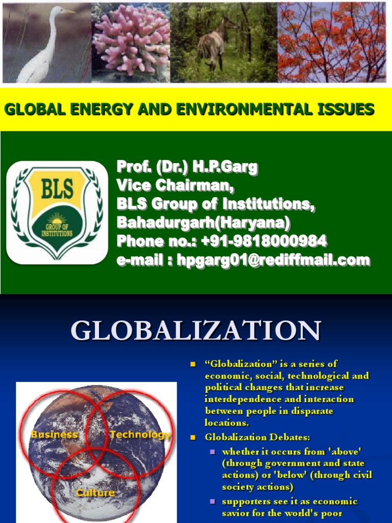 Global Energy and Environmental Issues (25.06.2011) | PDF ...