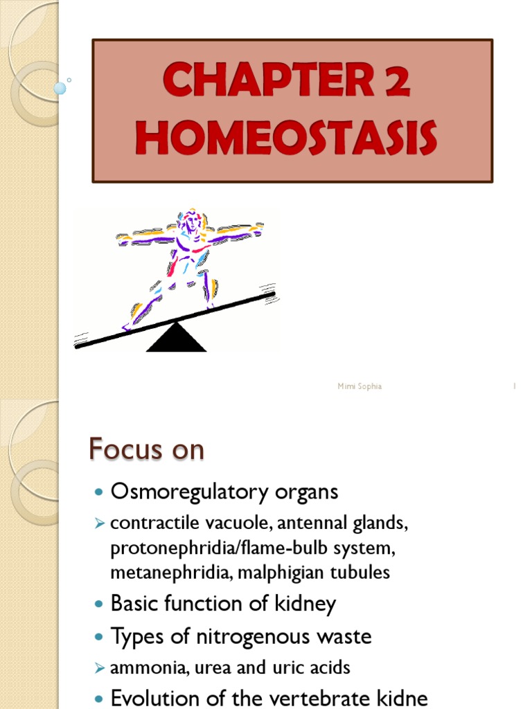 Chapter 2 - Homeostasis (Biology) | PDF | Kidney | Homeostasis