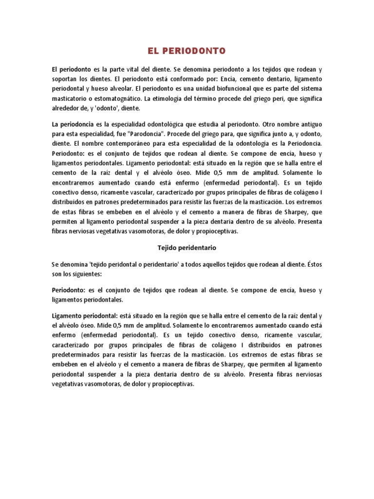 El Periodonto Es La Parte Vital Del Diente | PDF | Diente humano | Epitelio