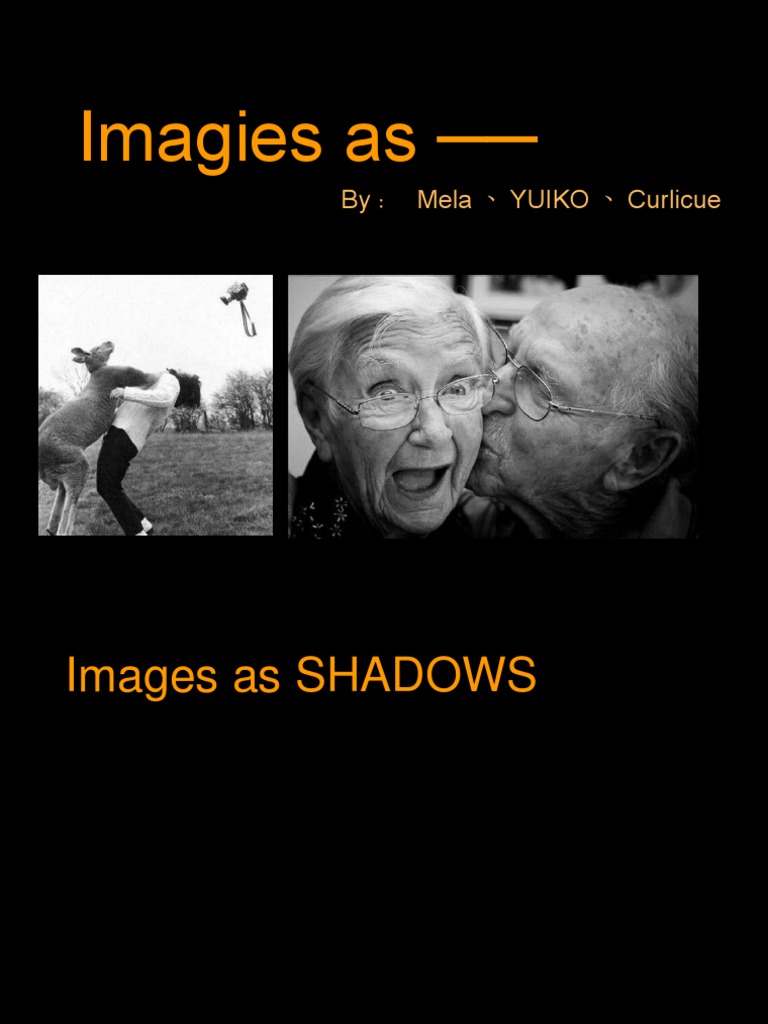 Exploring Images as Shadows and Truth | PDF
