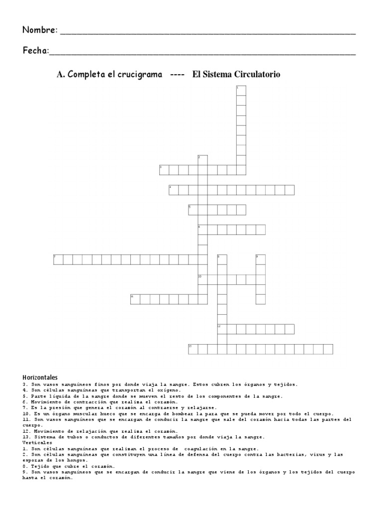Crucigrama Sistema Circulatorio | PDF