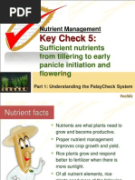 Flowchart of The Rice Production Process | PDF | Rice | Grain