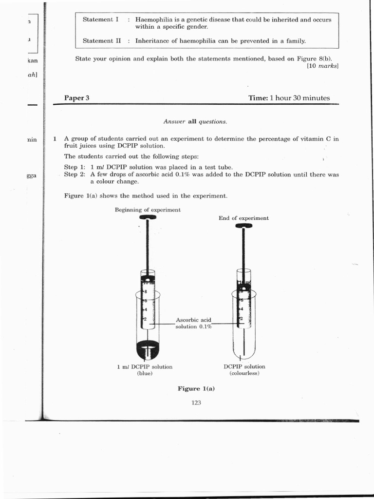 Biology SPM 2004 Paper 3 | PDF | Vitamin C | Experiment
