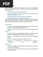 The Ten Principles of The UN Global Compact | PDF