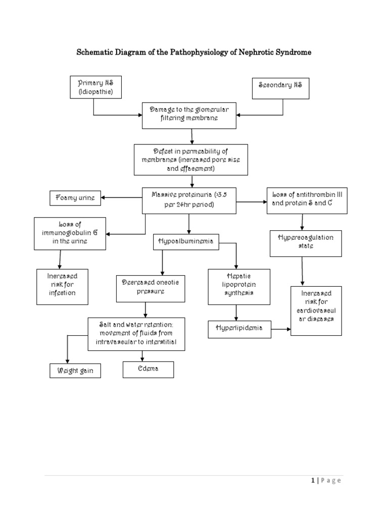 Pathophysiology of Nephrotic Syndrome