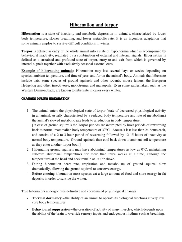 Hibernation | PDF | Thermoregulation | Animal Physiology