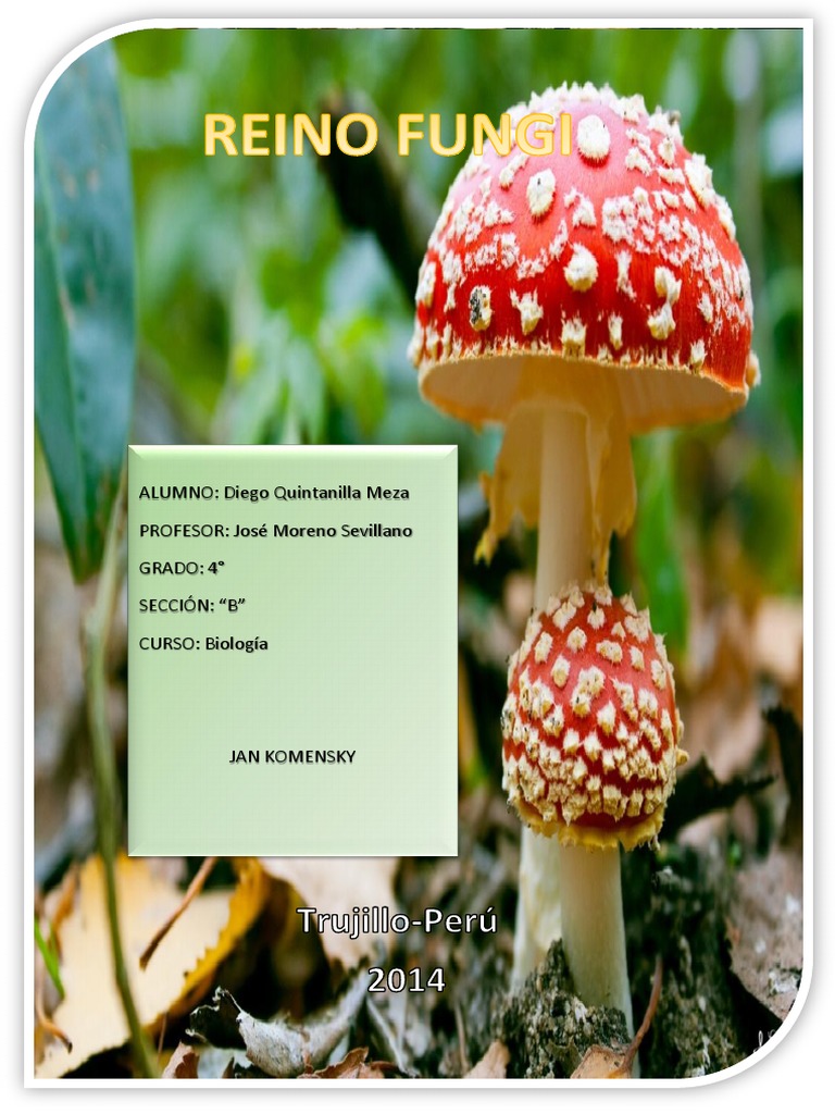Reino Fungi | PDF | Hongo | Botánica