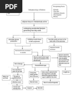 Pathophysiology of ALL (Diagram) | PDF | Medical Specialties | Clinical ...
