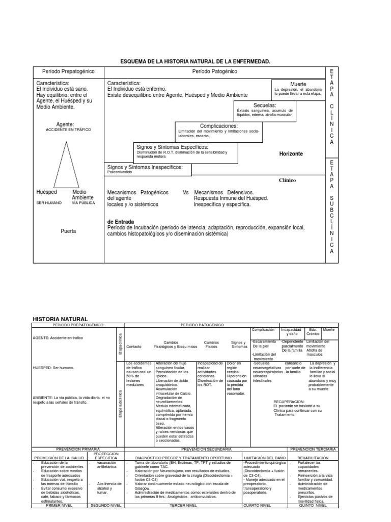 Esquema de La Historia Natural de La Enfermedad Esquema de La Historia Natural de La Enfermedad