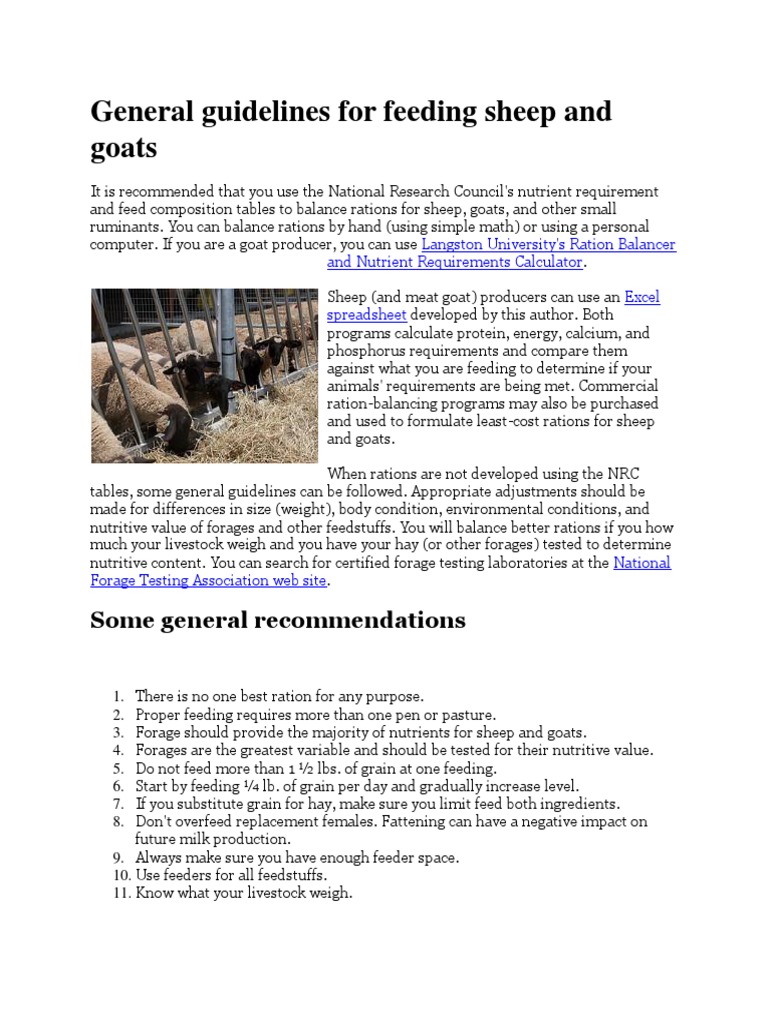 General Guidelines For Feeding Sheep and Goats | PDF | Sheep | Goat