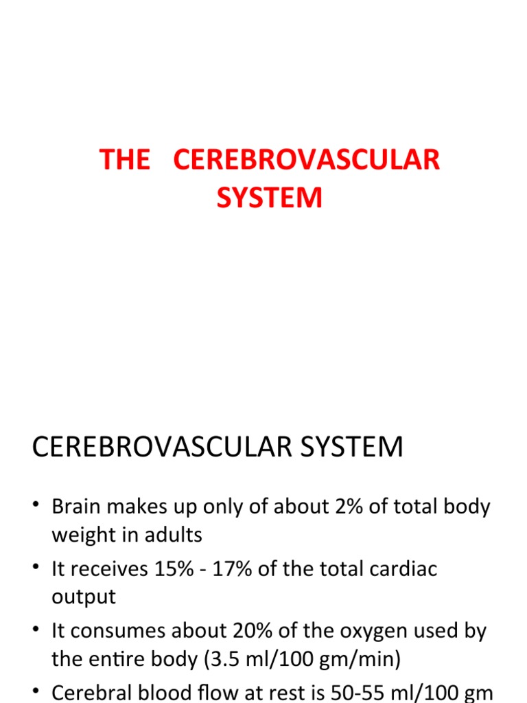 The Cerebrovascular System | PDF | Angiology | Cerebral Cortex