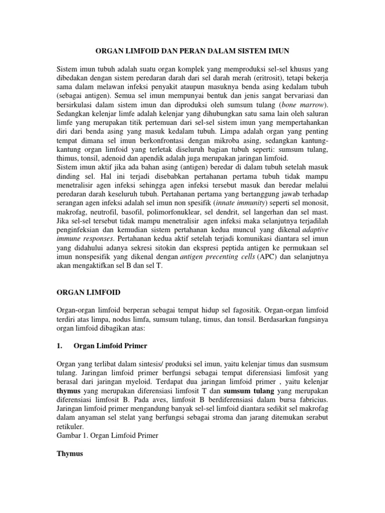 Peran Organ Limfoid dalam Sistem Imun | PDF | Ilmu Sosial | Kesehatan ...