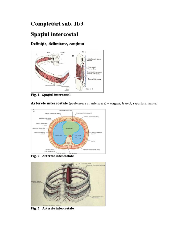 Spatiul Intercostal | PDF