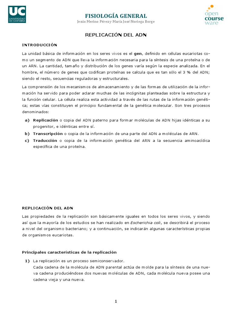 Tema 7B Bloque I Replicacion | PDF | Business