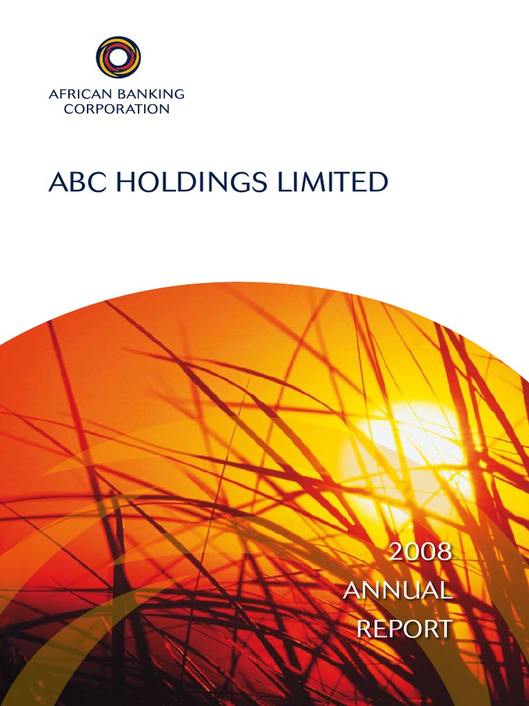 Abc Holdings Limited: 2008 Annual | PDF | Money Supply | Historical Cost