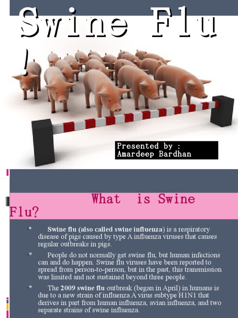 Presented by Amardeep Bardhan | PDF | Swine Influenza | Influenza