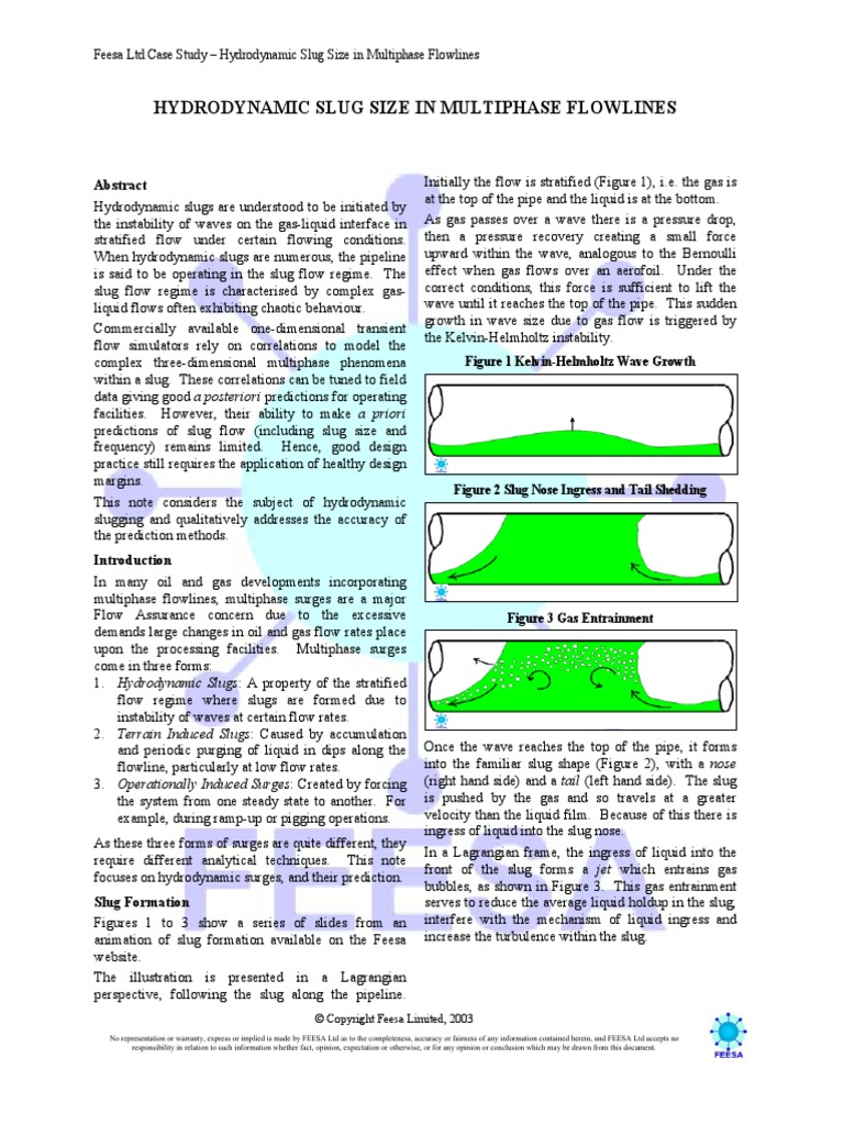Feesa LTD Case Study - Hydrodynamic Slug Size in Multiphase Flowlines ...