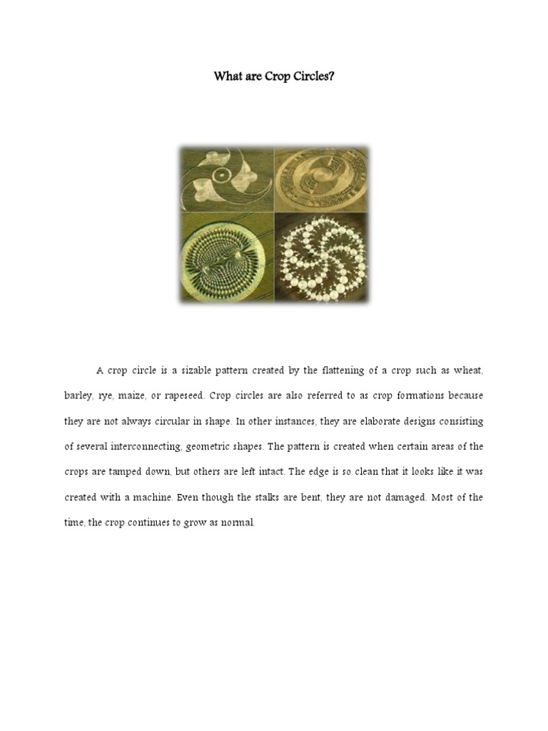 What Are Crop Circles? | PDF | Shape | Cognitive Science