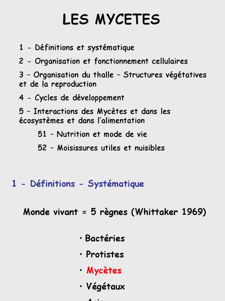 Cours - MYCETES - 08 09 | PDF | Champignons | Biologie