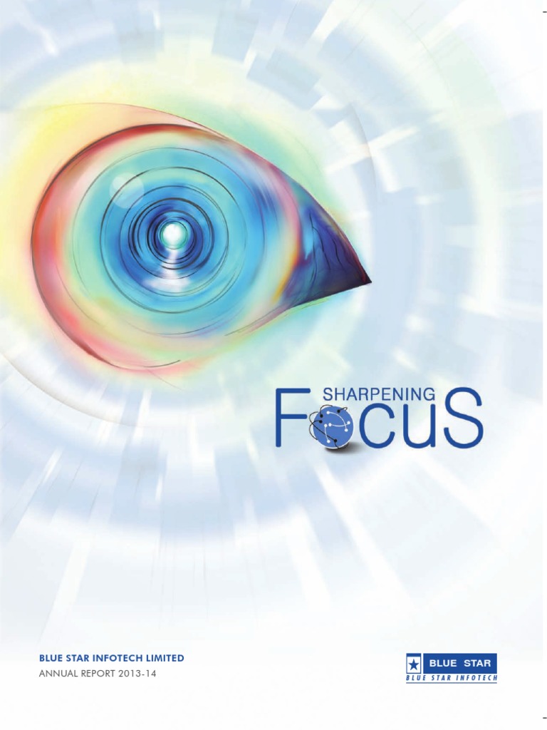 Annual Report - Blue Star Infotech LTD | PDF | Dividend | Financial ...